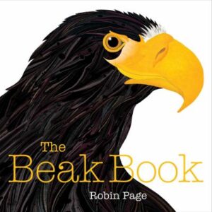The Beak Book – It's a Picture Book World